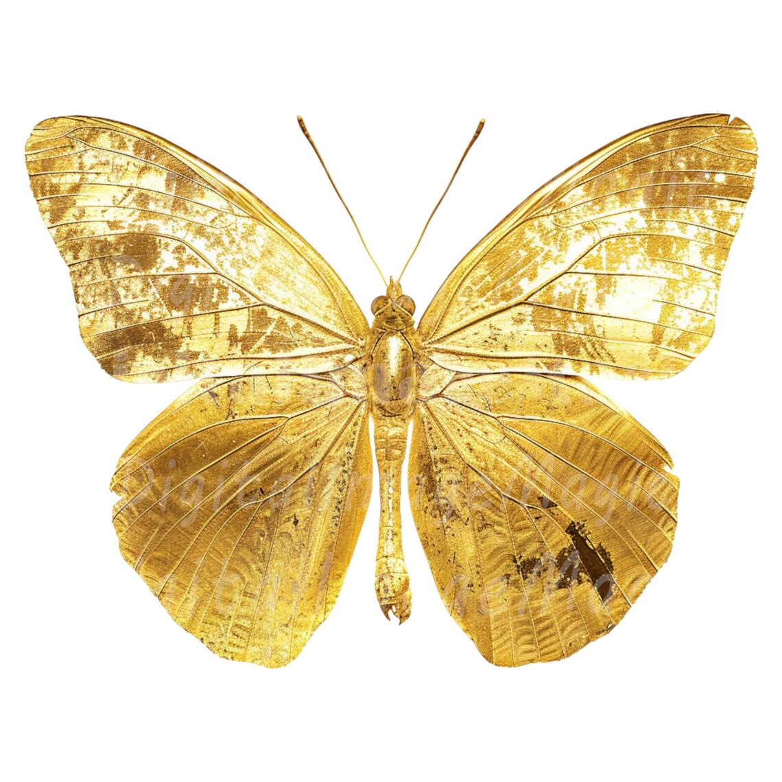 16 Gold Butterfly Clipart, Wall Print, Printable Watercolor Clipart ...