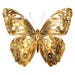 16 Gold Butterfly Clipart, Wall Print, Printable Watercolor Clipart ...
