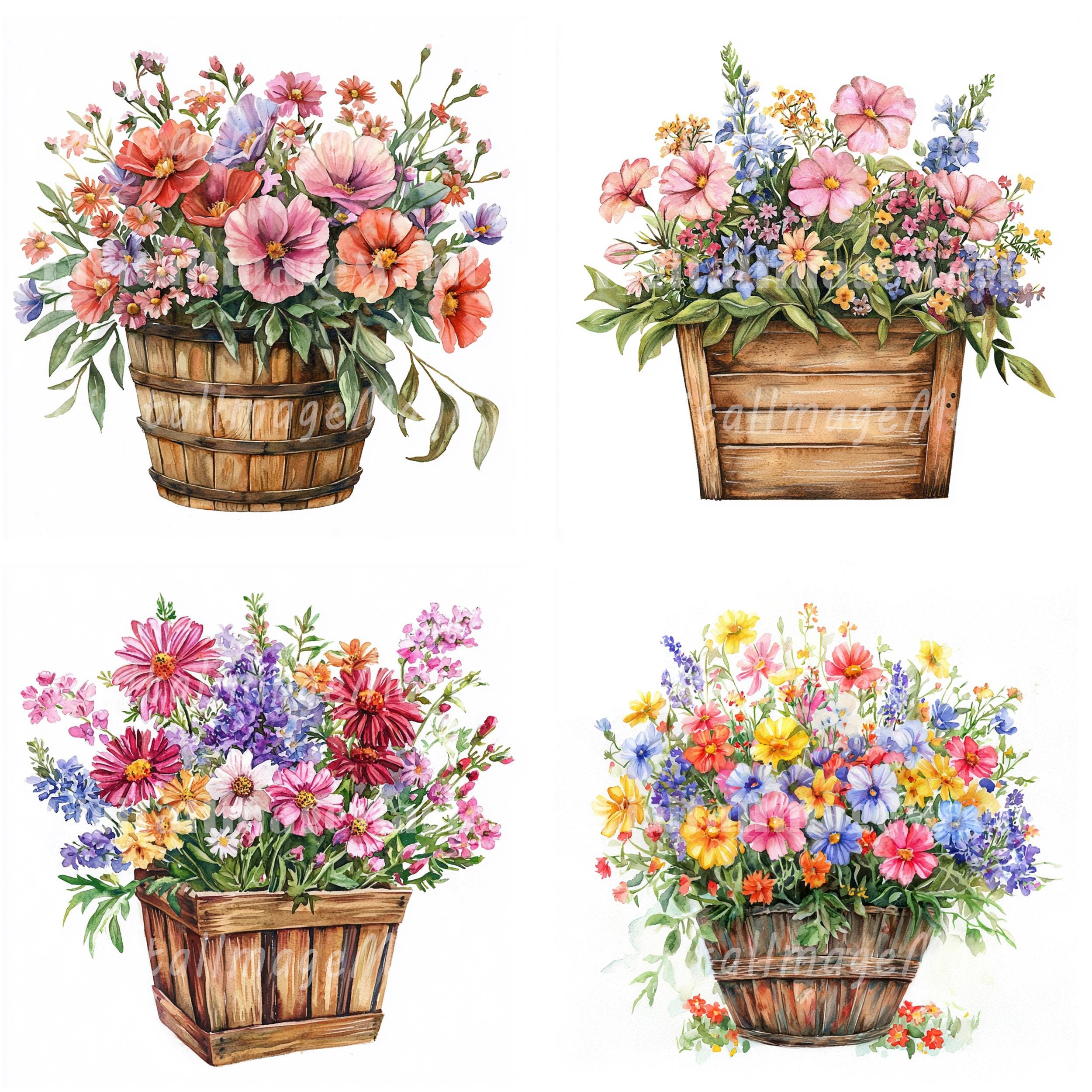Summer Flowers Clipart 24 High Quality Jpgs Digital Download Card ...