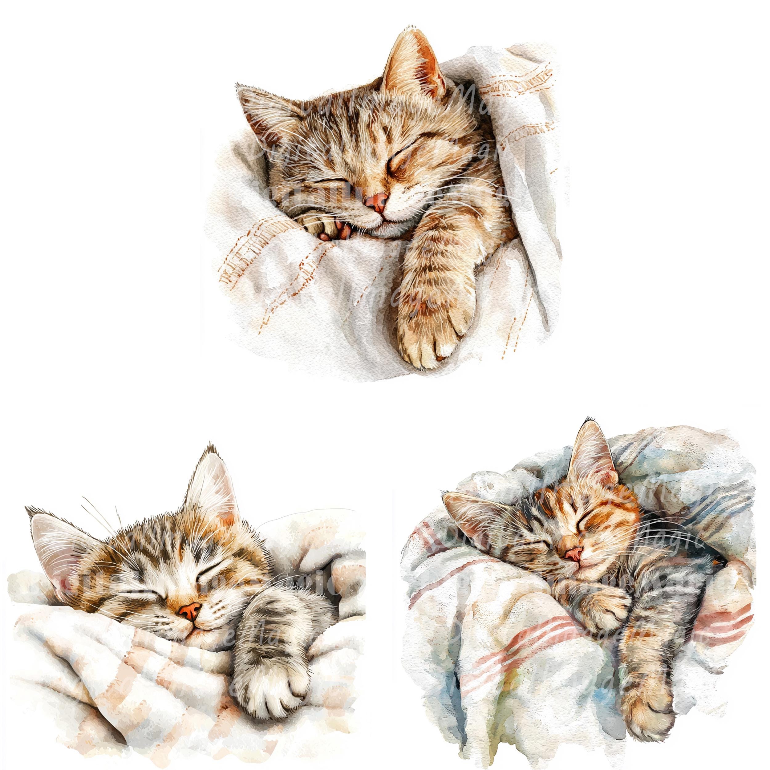 24 Sleeping Cat Clipart, Cozy Cat Clipart, Printable Watercolor Clipart ...