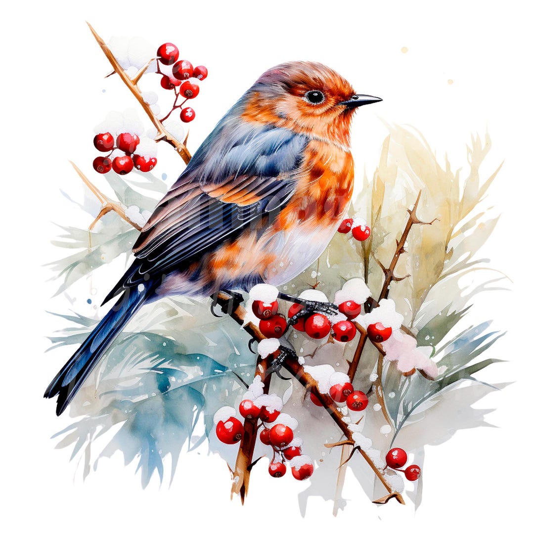 20 Various Christmas Birds Clipart, Robin, Printable Watercolor Clipart ...