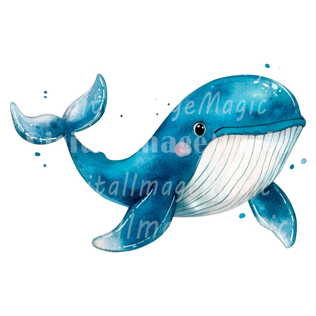 24 Cartoon Whale Clipart, Whale Illustration, Printable Watercolor ...