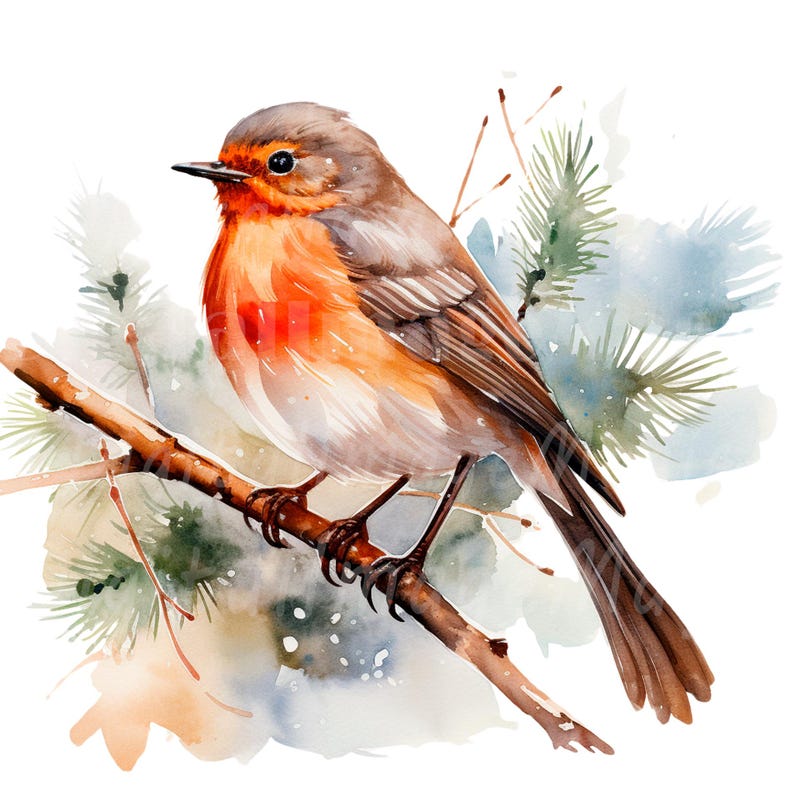 20 Various Christmas Birds Clipart, Robin, Printable Watercolor Clipart ...