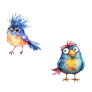 24 Whimsical Watercolor Birds Clipart: Funny PNG Images (digital ...