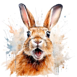 18 Surprised Hare Clipart, Amazed Rabbit, Printable Watercolor Clipart ...