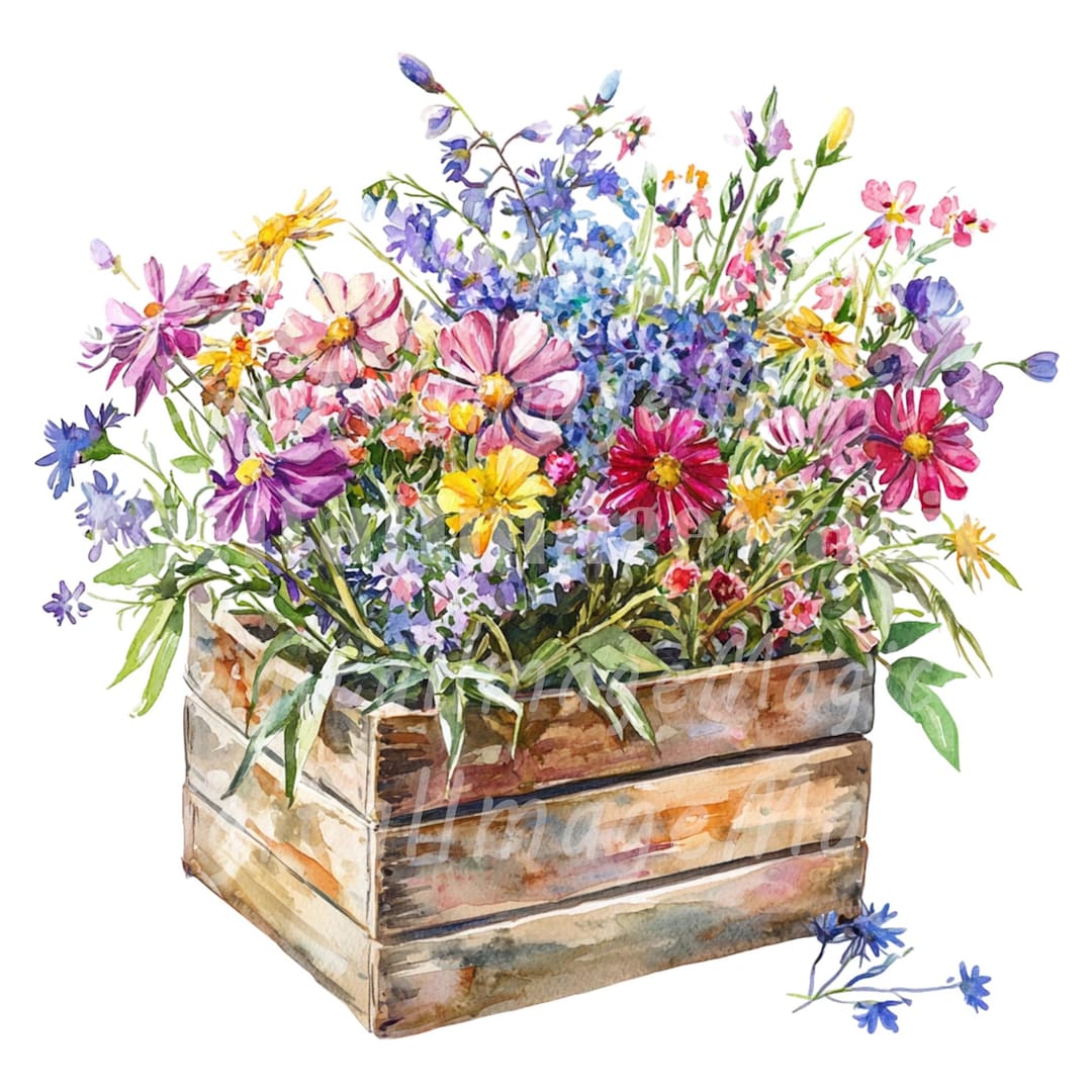 24 Summer Flowers Clipart, Flowers Clipart, Printable Watercolor ...