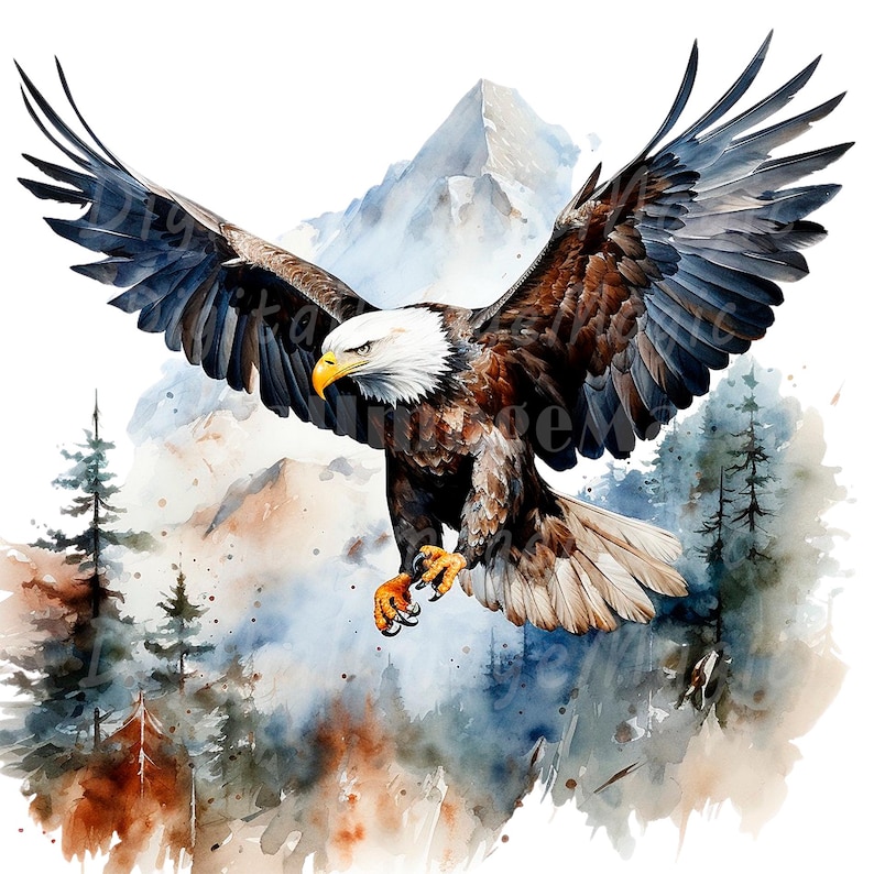18 Eagle Clipart, Bald Eagle, Printable Watercolor Clipart, High ...
