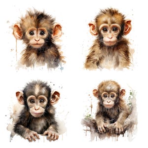 18 Monkey Baby Clipart, Monkey for Nursery, Printable Watercolor ...