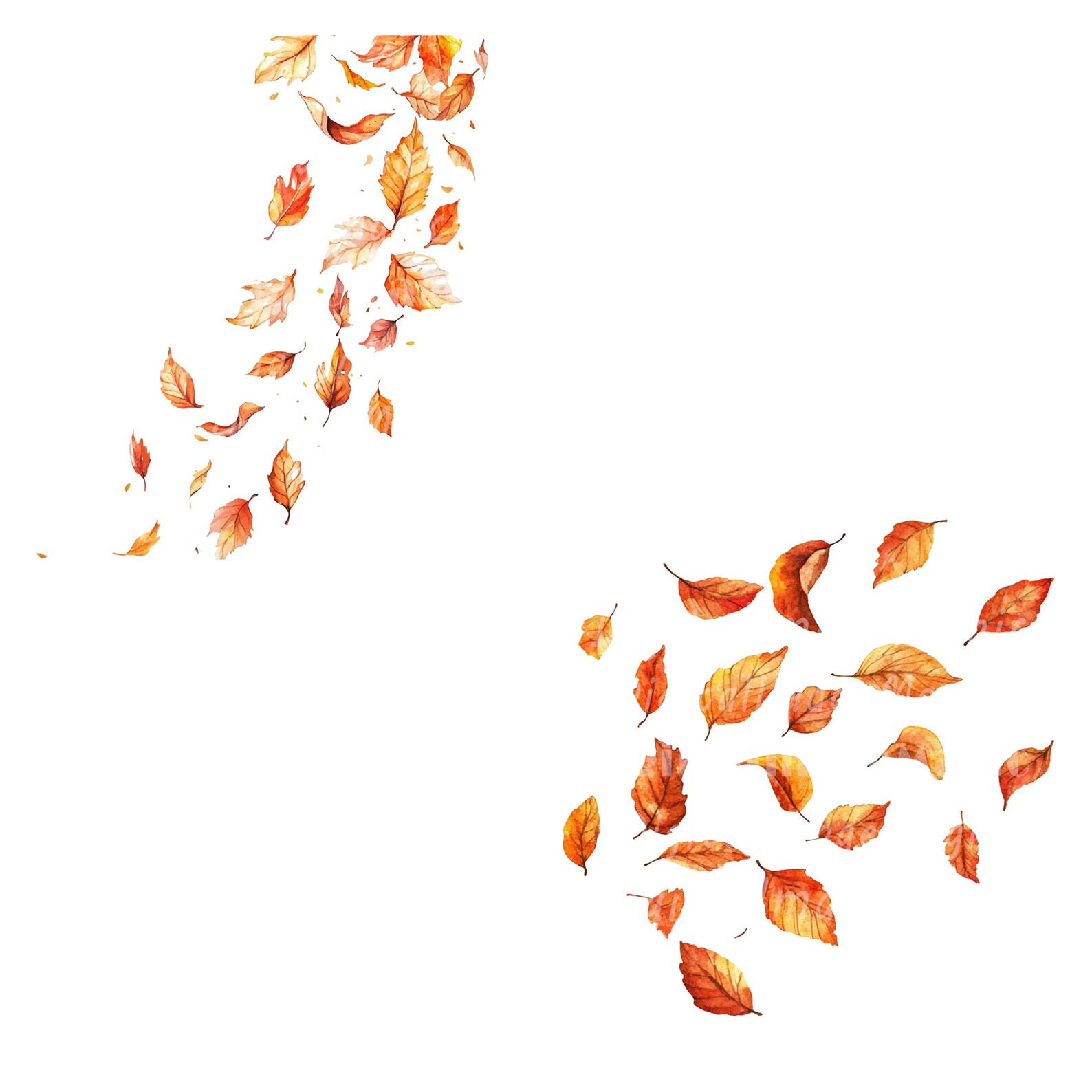 23 Falling Autumn Leaves Clipart, Fall Leaves, Printable Watercolor ...