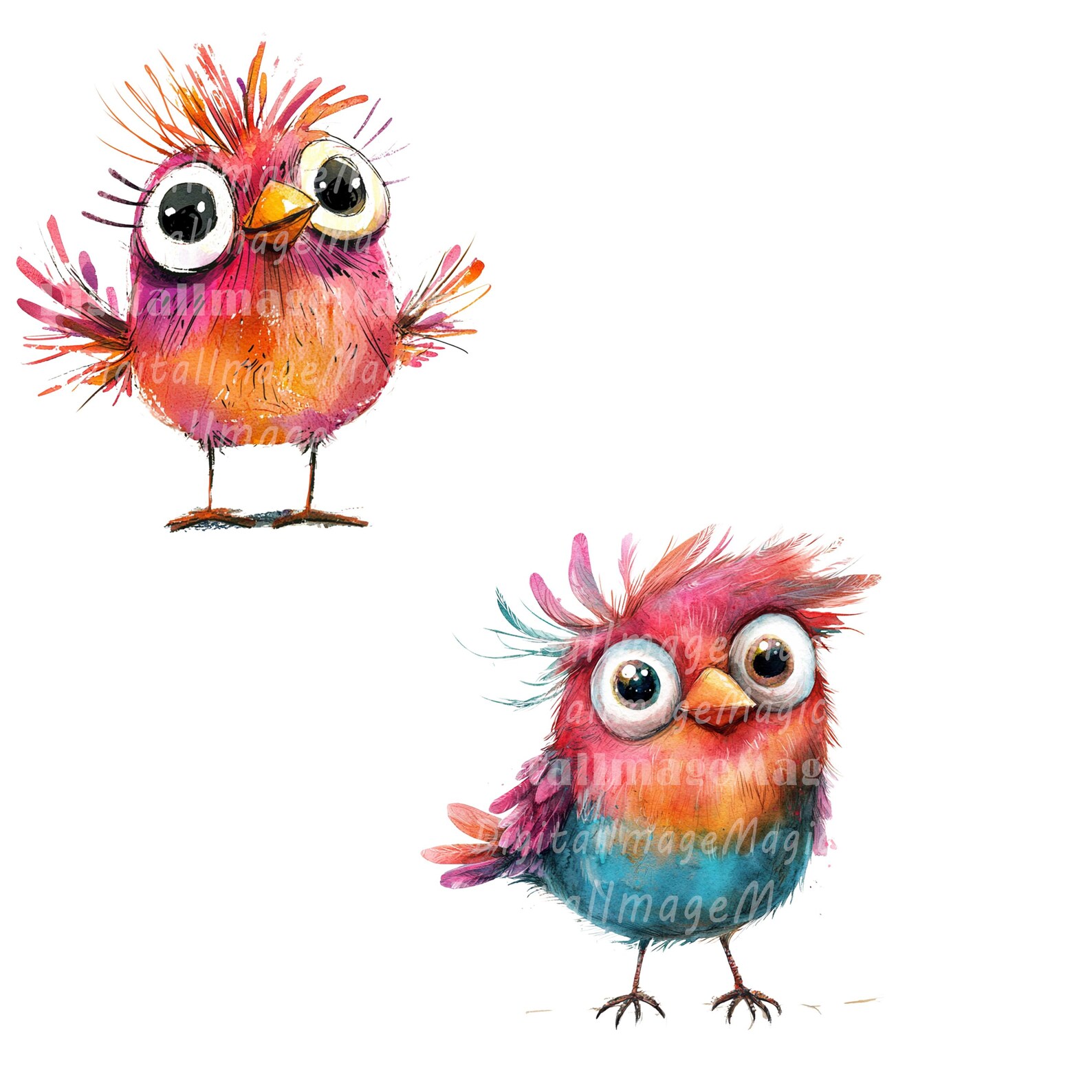 24 Whimsical Watercolor Birds Clipart: Funny PNG Images (digital ...