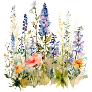 18 PNG Wildflower Clipart, Woodland Flowers, Printable Watercolor ...