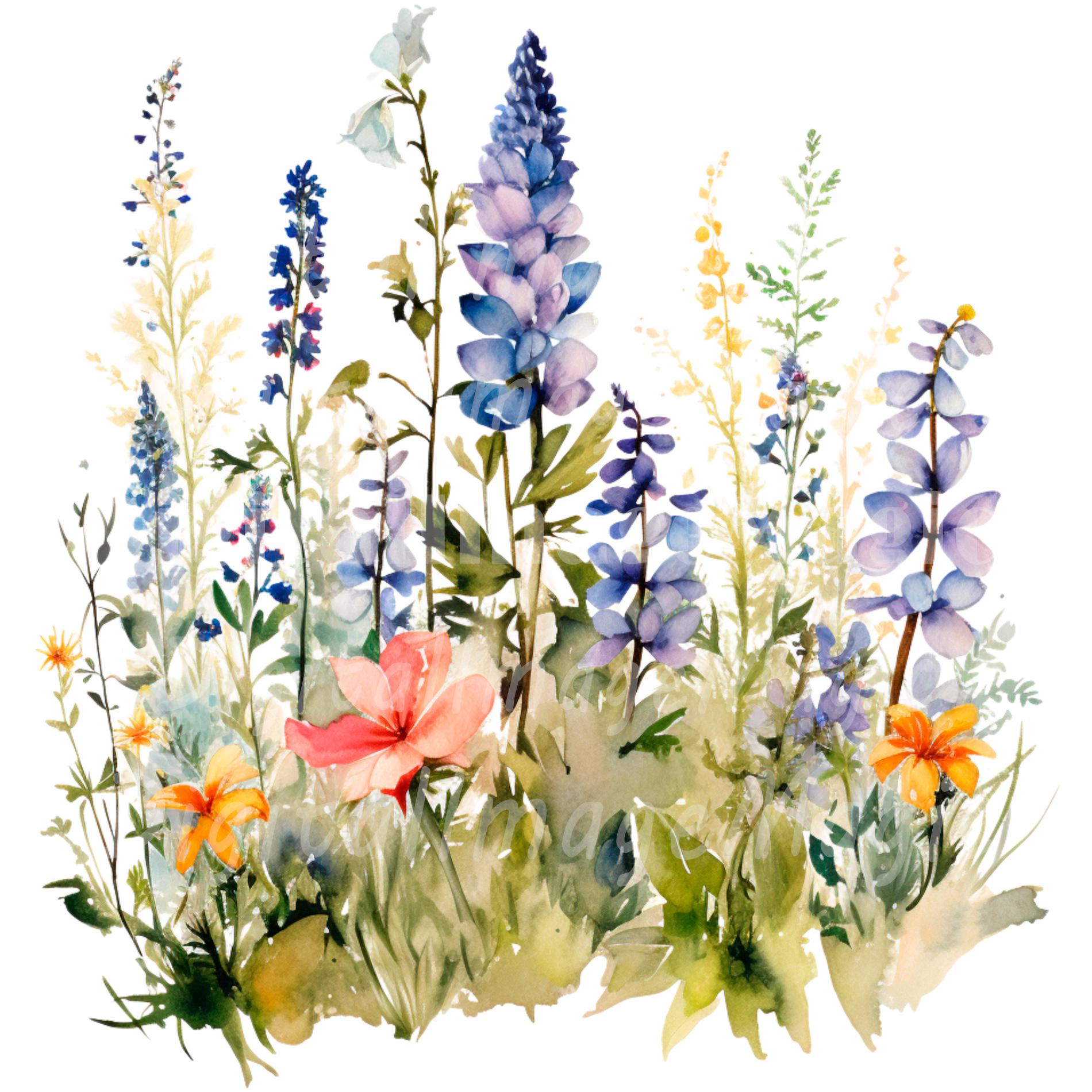 Watercolor Wildflower Clipart: 18 PNG Woodland Flower Graphics (digital ...