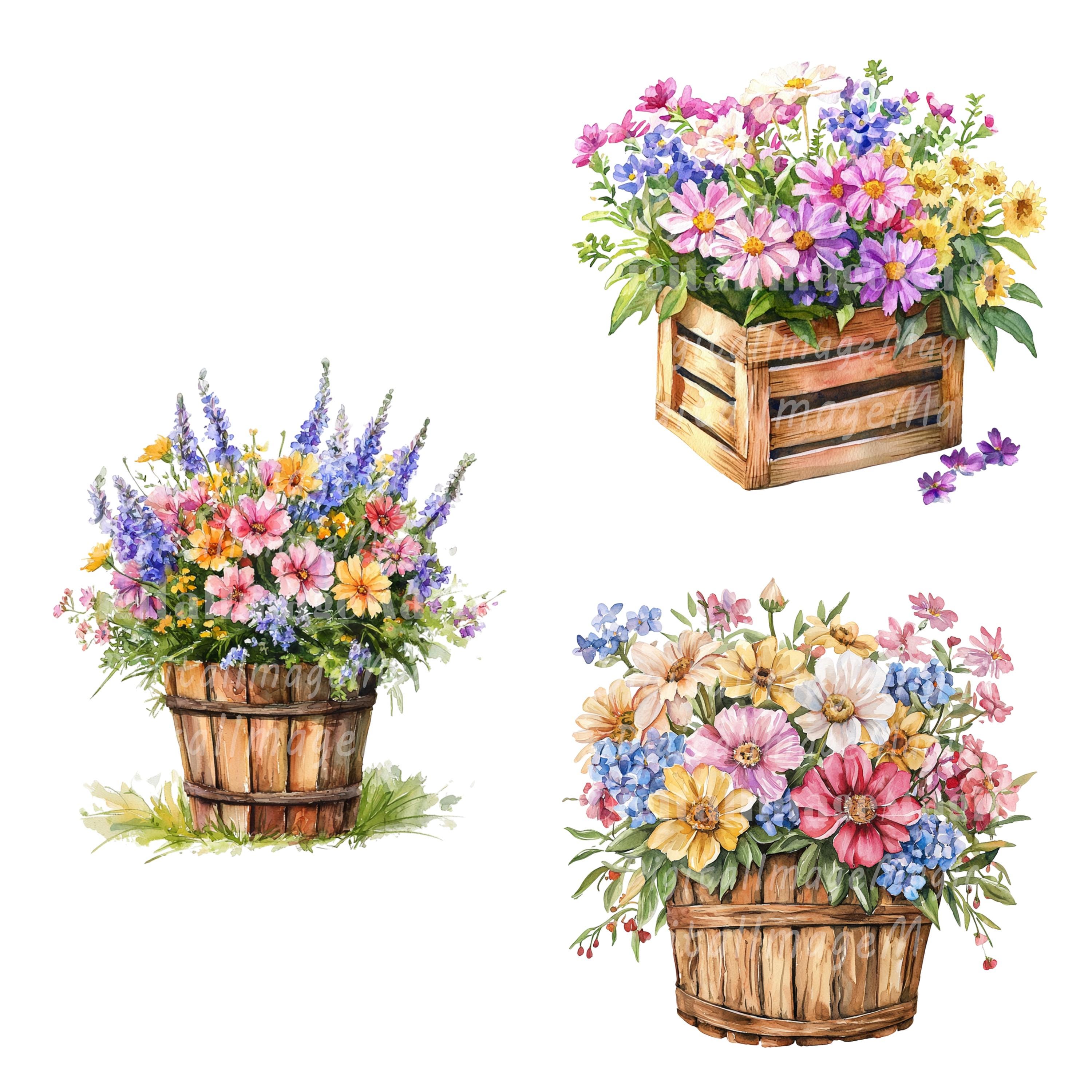 24 Summer Flowers Clipart, Flowers Clipart, Printable Watercolor ...
