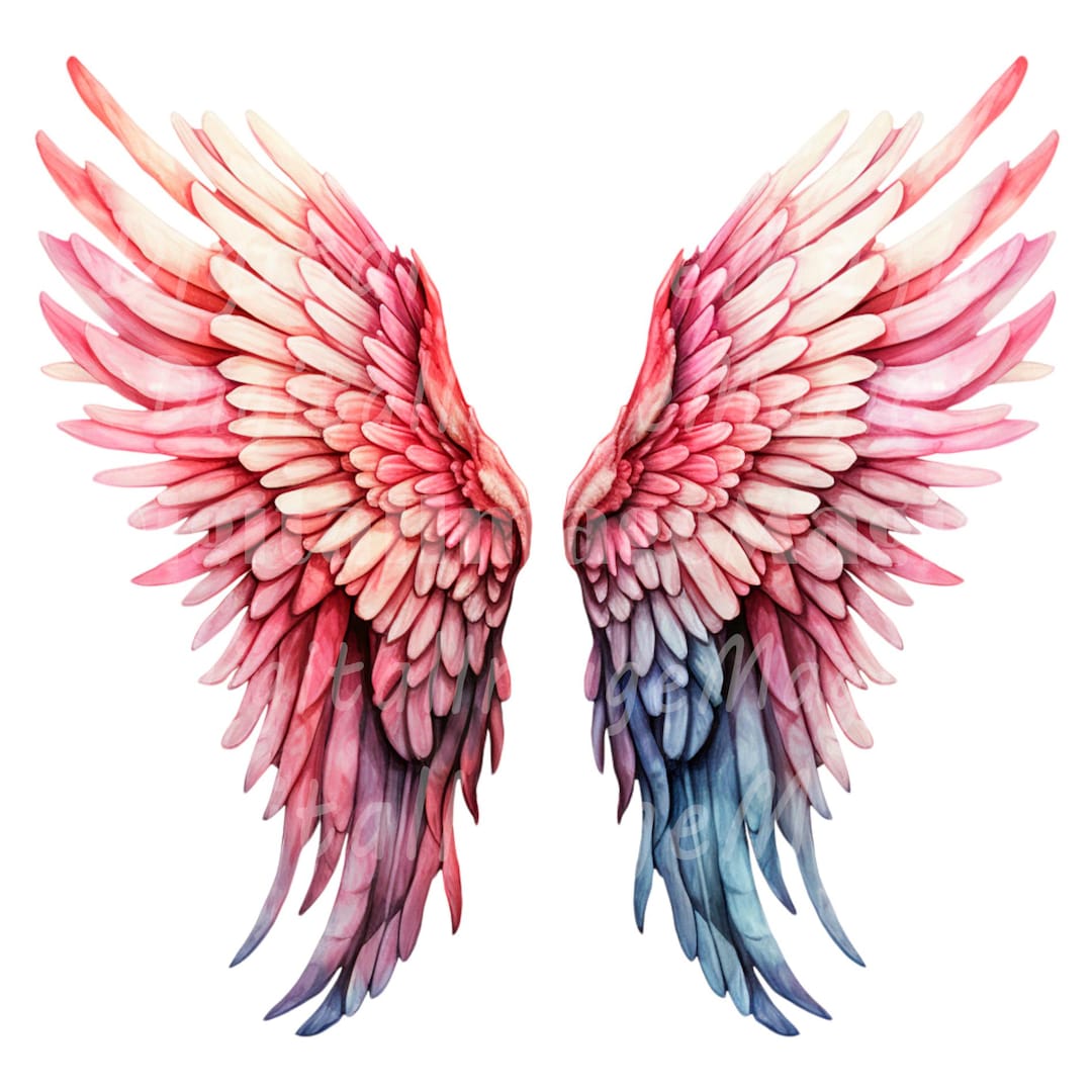 24 Angel Wings Clipart, Coloured Wings Clipart, Digital Clipart ...