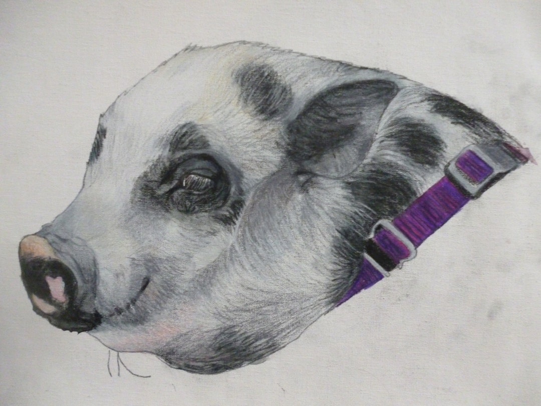 Pig Pet Portraits Original Painting on Aluminumized Paper Made to Order ...
