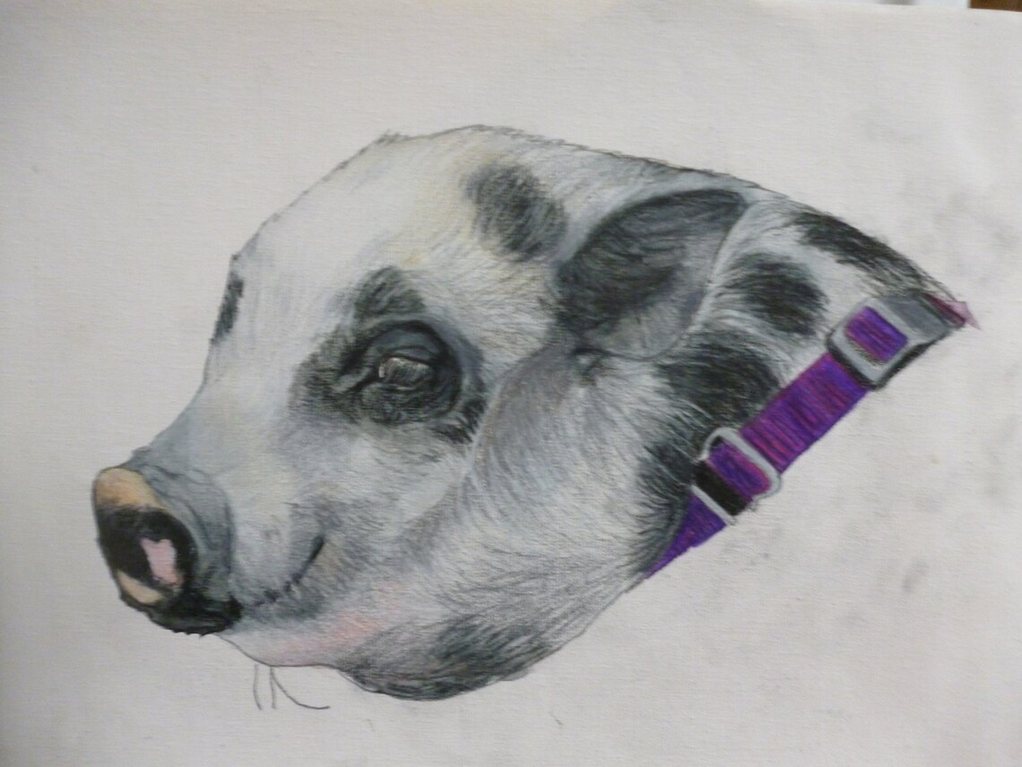 Pet Portrait on Aluminum Paper Made to Order From Photo 5 X 7 Inch ...