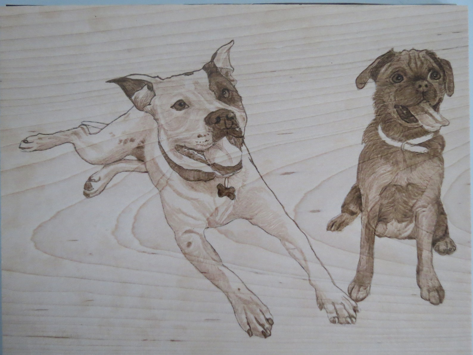 Pet Potrait Wood Burn 3-D Shadow Box Made to Order 7.5 X - Etsy
