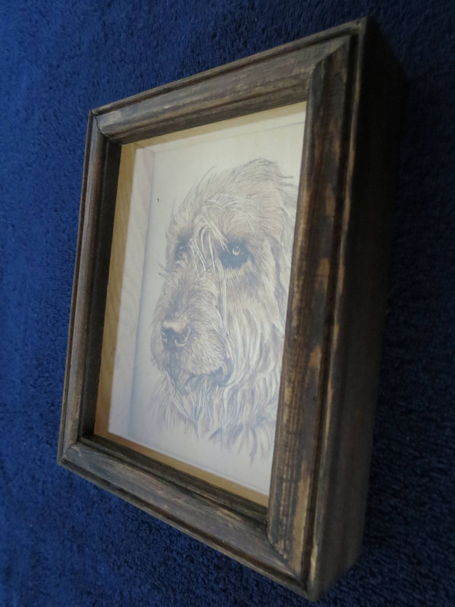 Pet Potrait Wood Burn 3-D Shadow Box Made to Order 7.5 X - Etsy