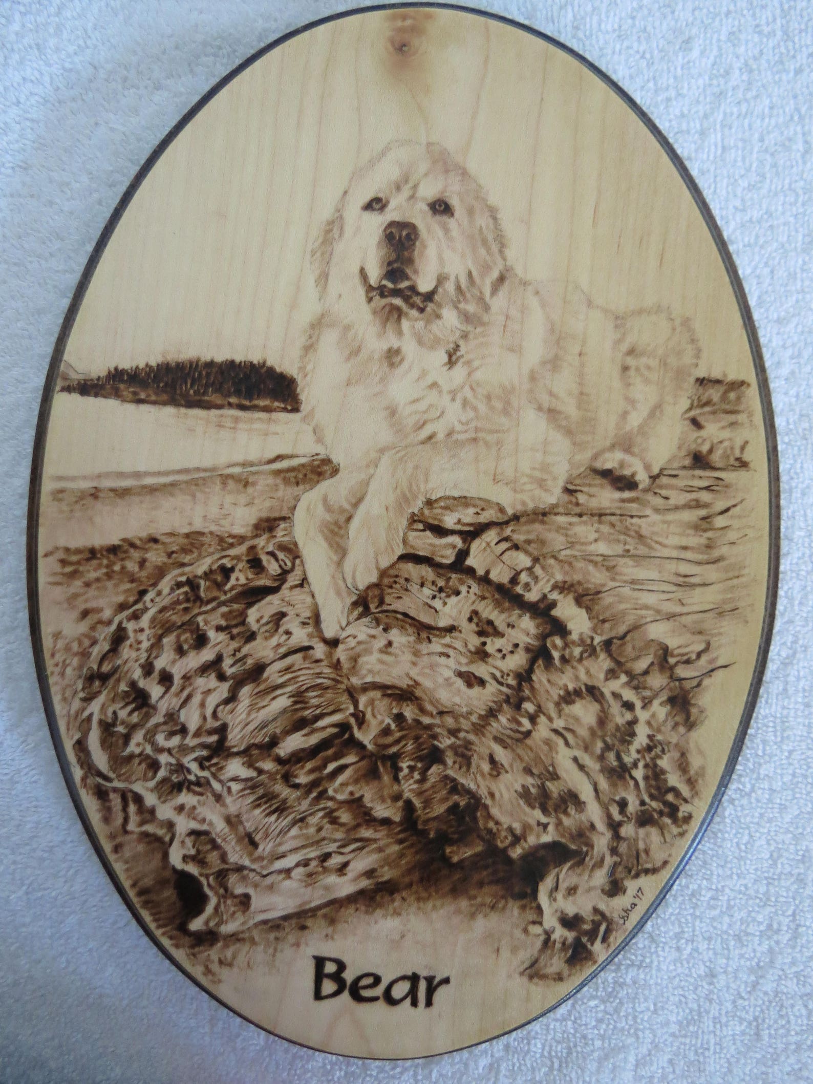Pet Portrait Solid Maple Wood Burned Plaque Made to Order 8 X - Etsy