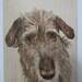 People Portrait Pyrography Wood Burn Art Wall Plaque 5 X 7 Inches Made ...