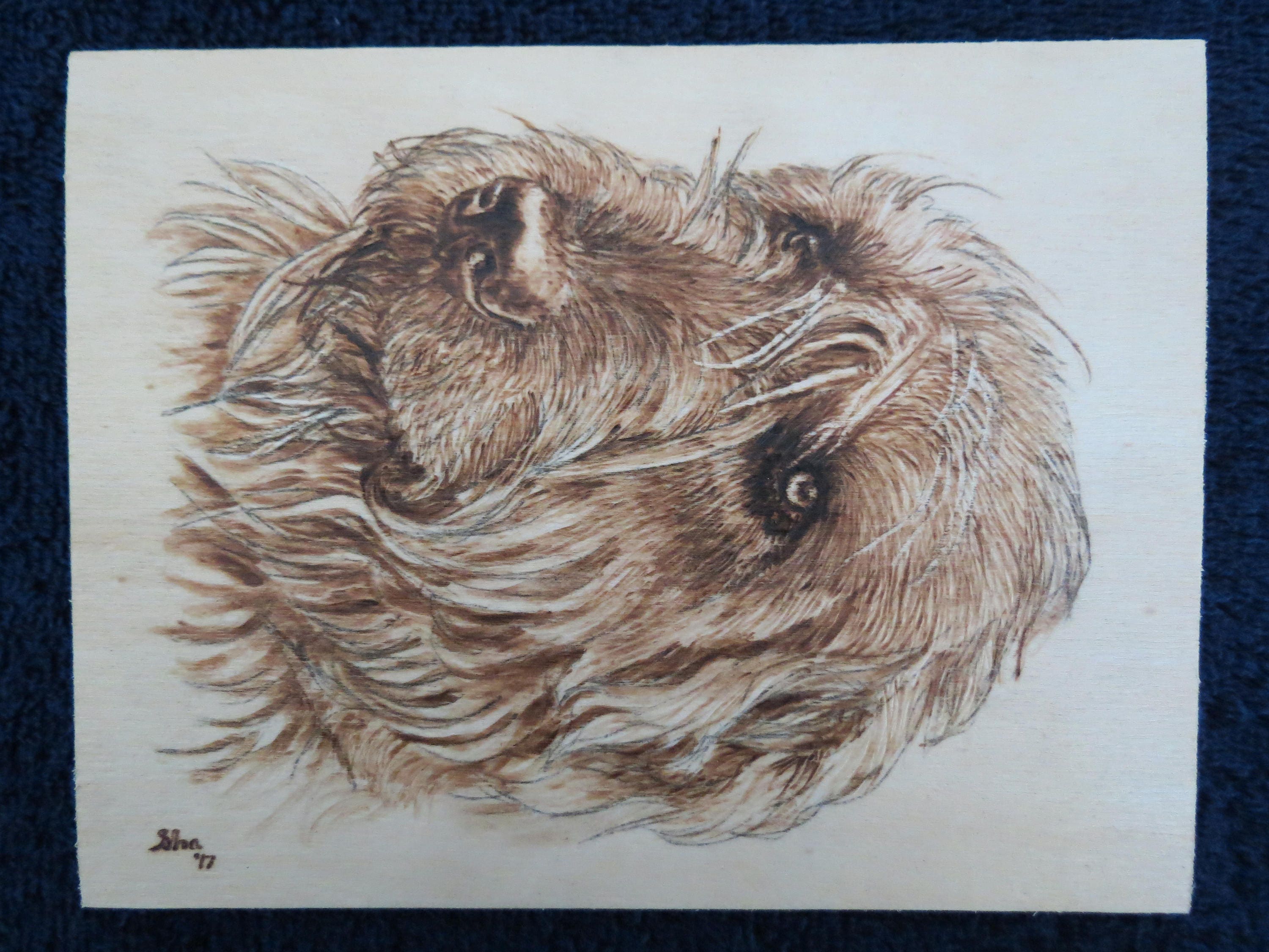 Pet Potrait Wood Burn 3-D Shadow Box Made to Order 7.5" X 5.75" X 2 ...