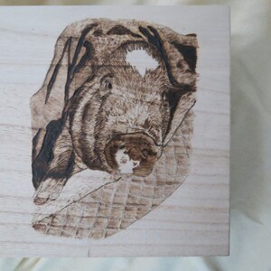 Pet Potbellied Pig Memorial Urn Boxes Pyrography Hand Made to Order by ...