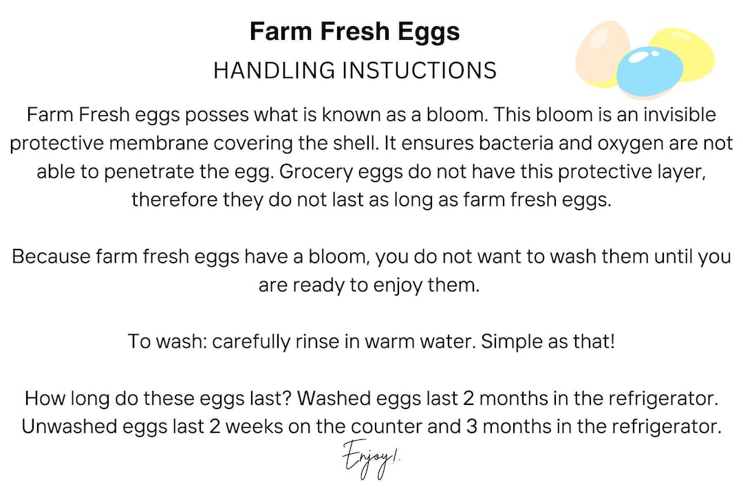 Farm Fresh Egg Handling Instructions - Etsy