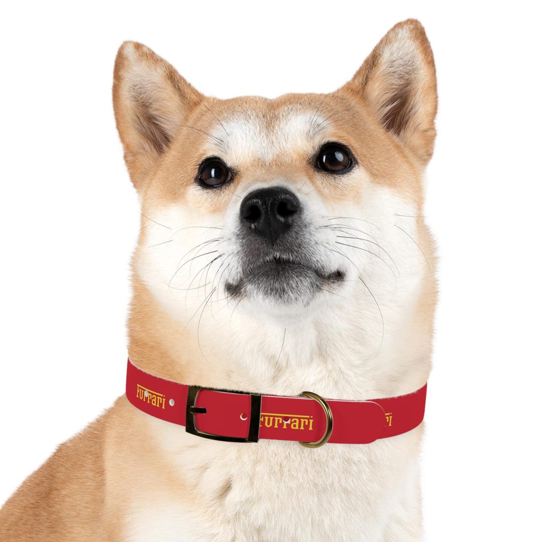 Ferrari Themed - Dog Collar (furrari) - Etsy