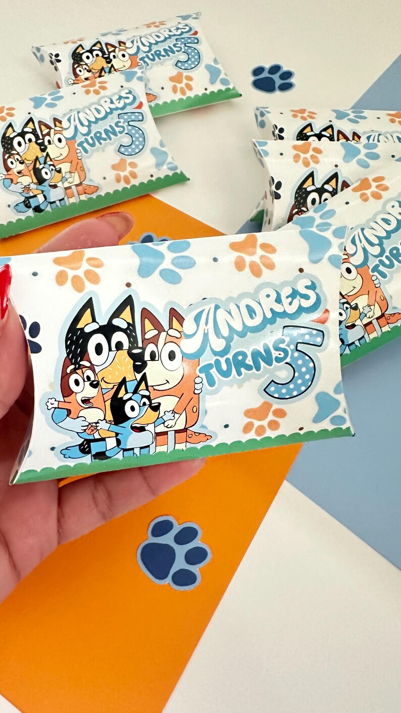 Bluey Themed Boxes/ Bluey's Fun Party Box/ Bluey’s Adventure Box/ Bluey ...