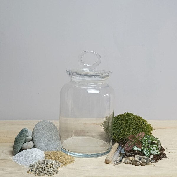 Large Moss Terrarium - Etsy