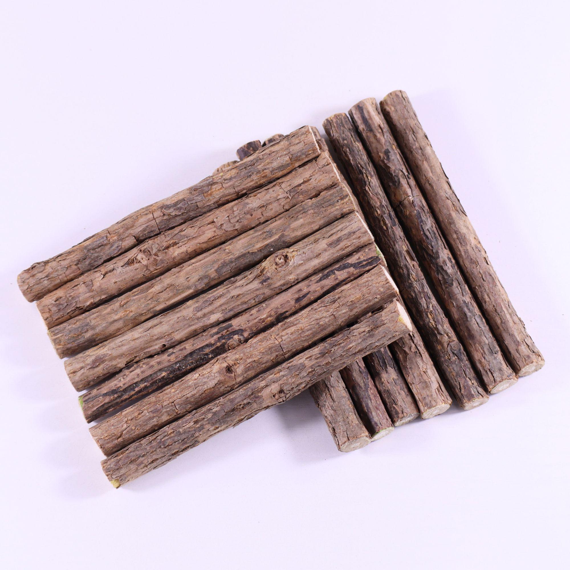 Matatabi Cat Chew Sticks: Natural Silvervine Dental Treat Toy, Catnip ...