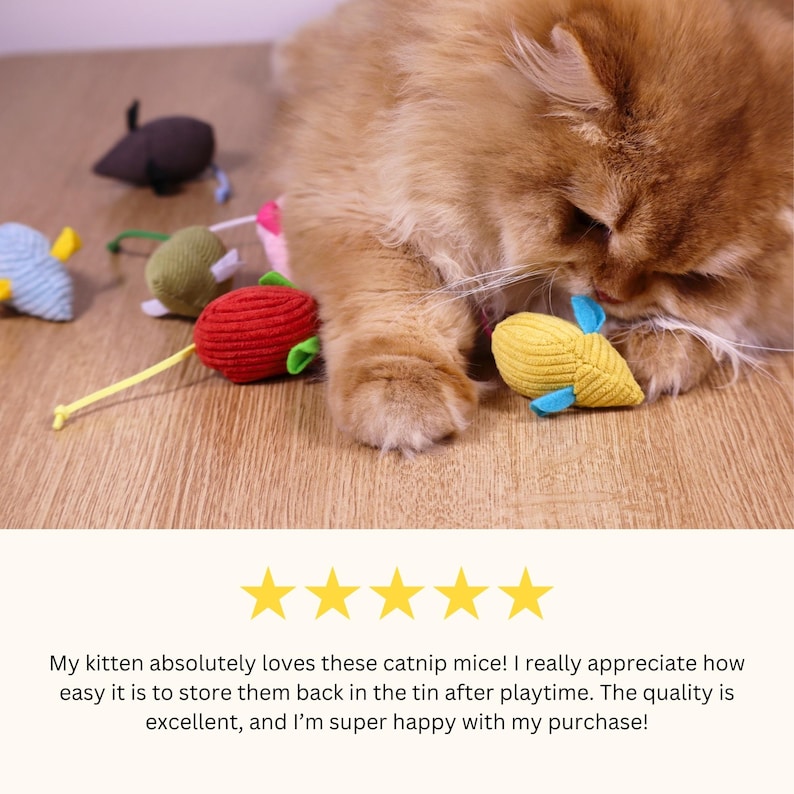 Catnip Silvervine Mouse Cat Toy With Recharging Tin - Etsy UK