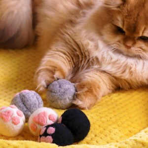 Catnip Silvervine Felted Paw Ball Cat Toys: New Zealand Wool With ...