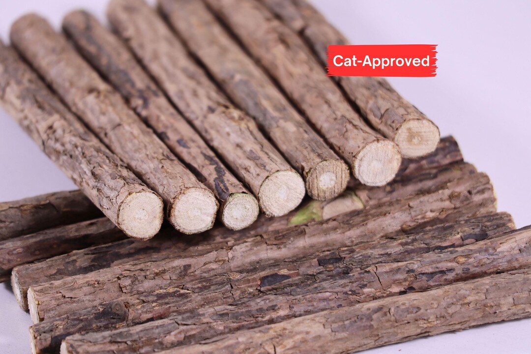 Matatabi Cat Chew Sticks: Natural Silvervine Dental Treat Toy, Catnip ...