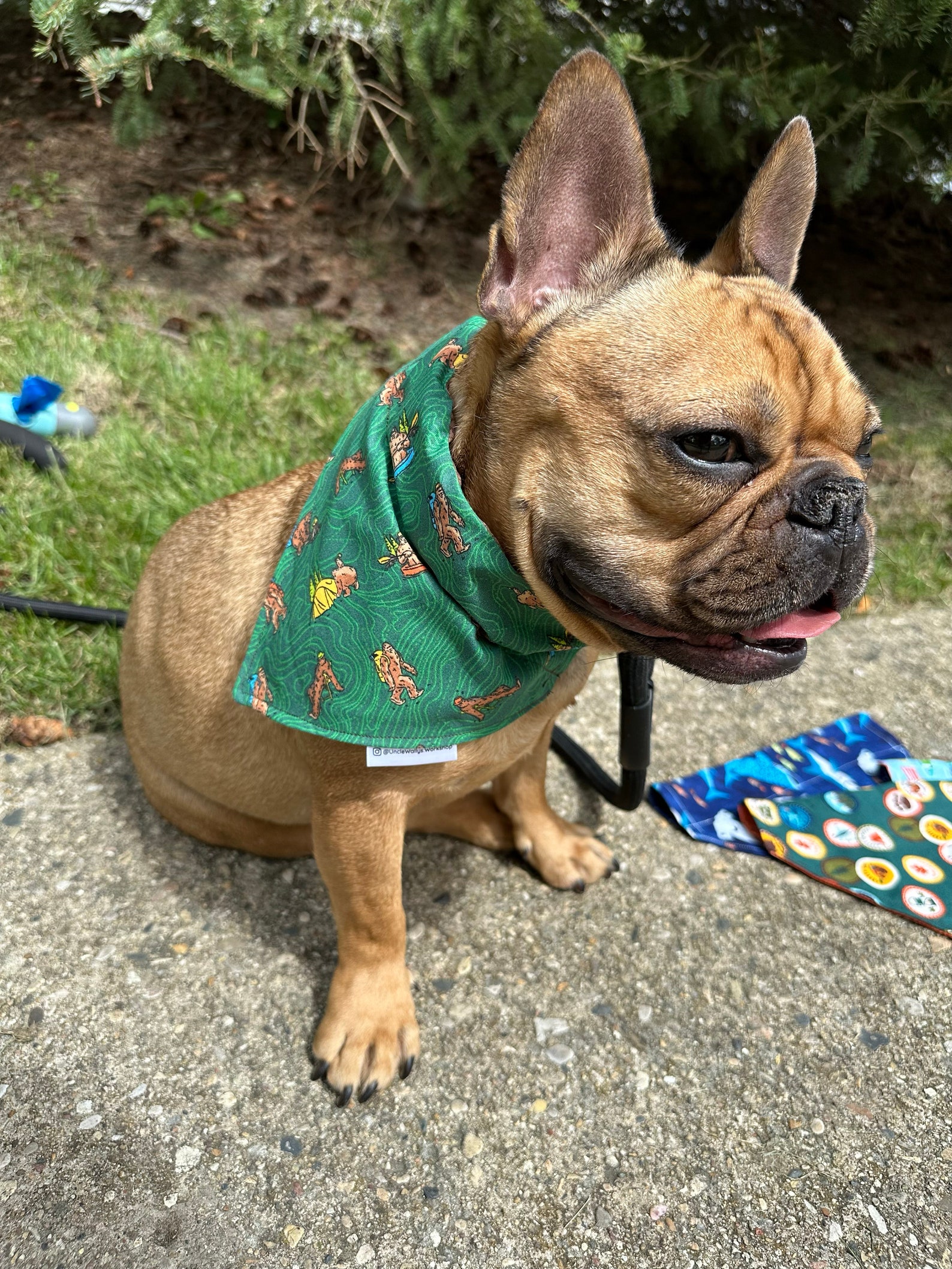 Sasquatch Dog Bandana, Over the Collar Bandana, Reversible Dog Bandana ...