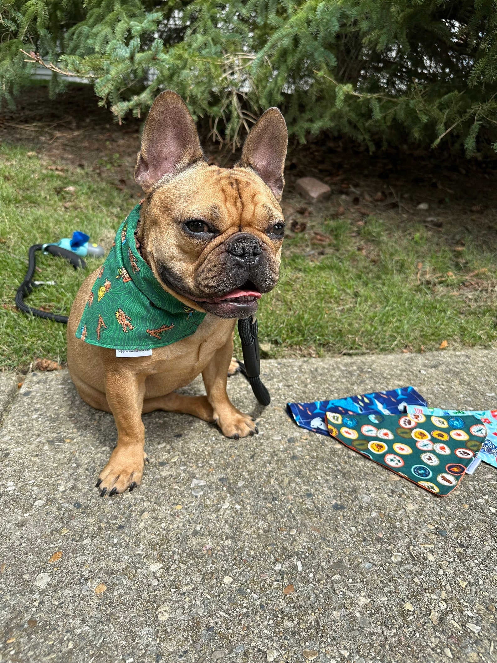 Sasquatch Dog Bandana, Over the Collar Bandana, Reversible Dog Bandana ...