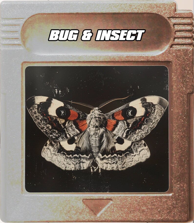 Bug & Insect Pack - Etsy