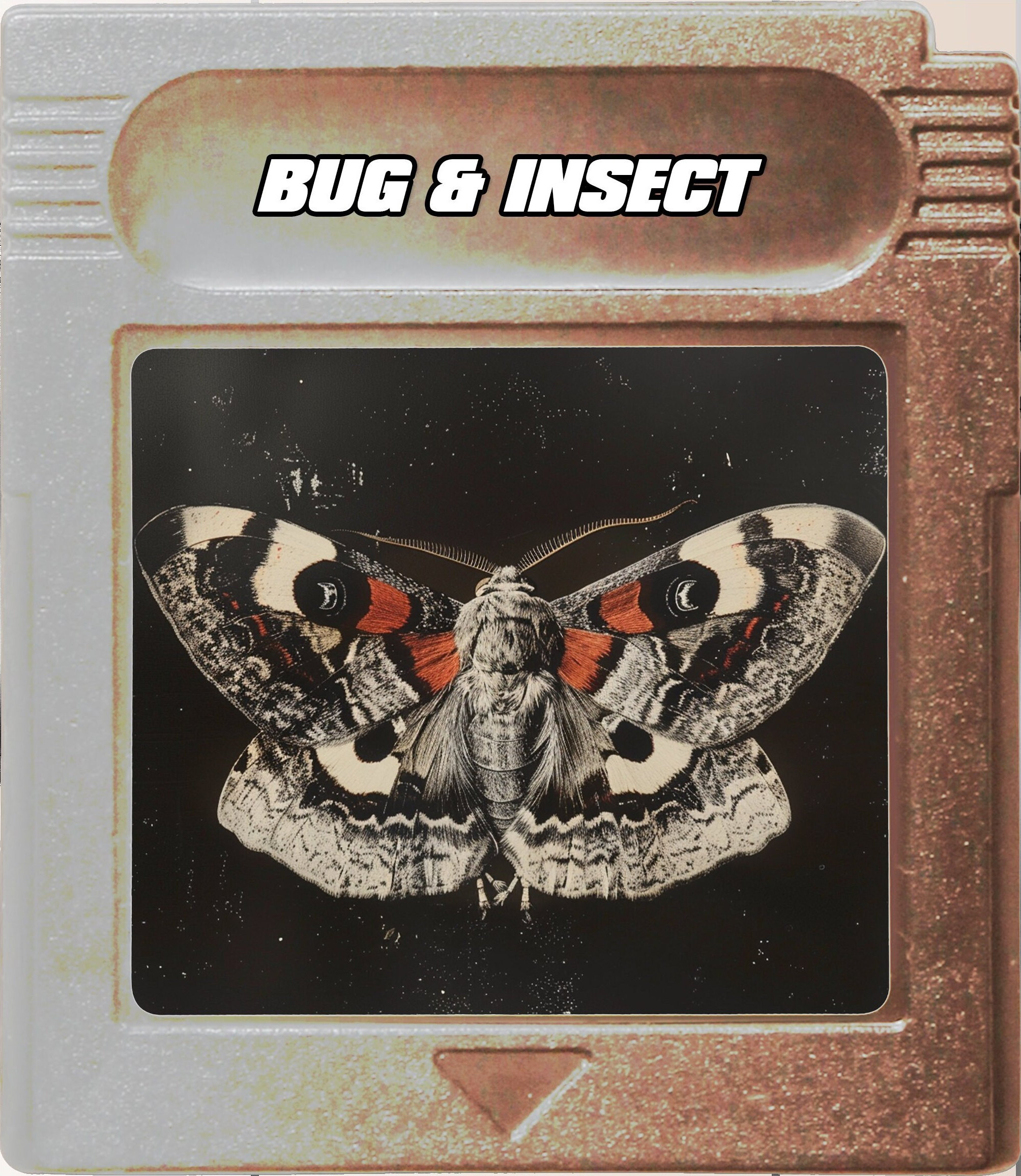 Bug & Insect Pack - Etsy