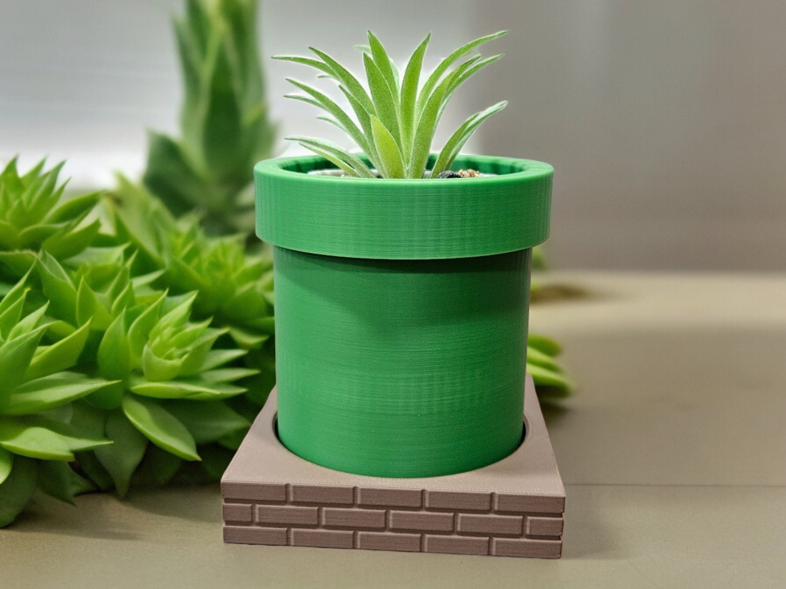 Green Tube Planter - 3d 3 Inch Nostalgic Cactus Succulent Monstera Pot ...