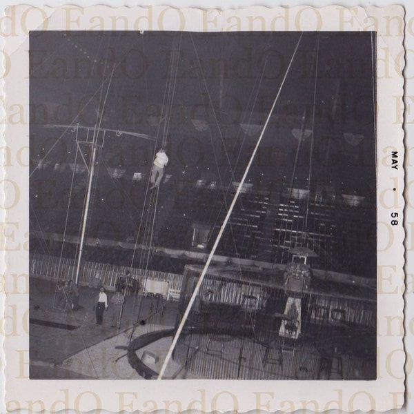 Flying Trapeze - Etsy