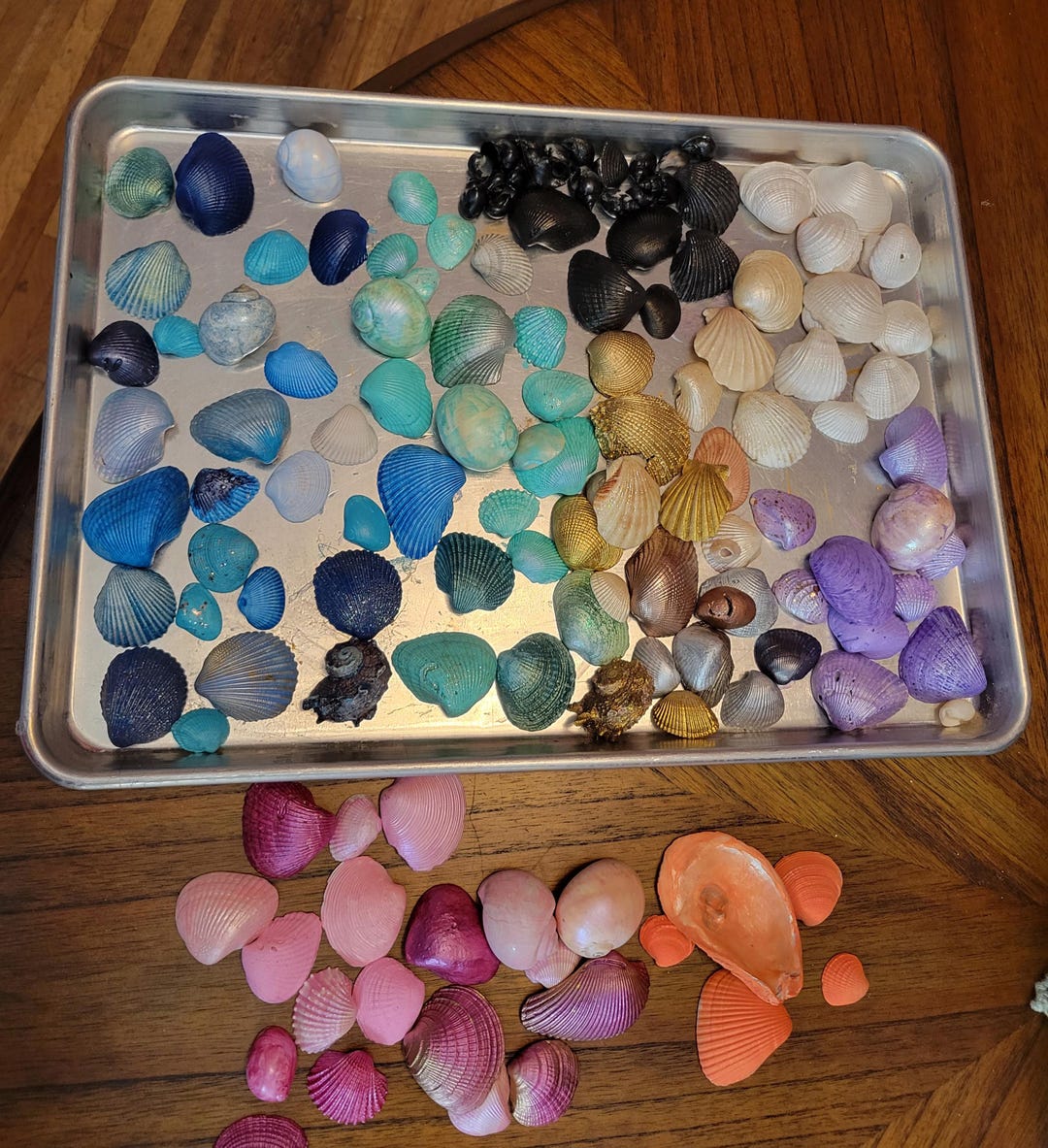 Colorful Craft Sea Shells. Painted. Bulk Lot 110 Shells. Shell Art ...