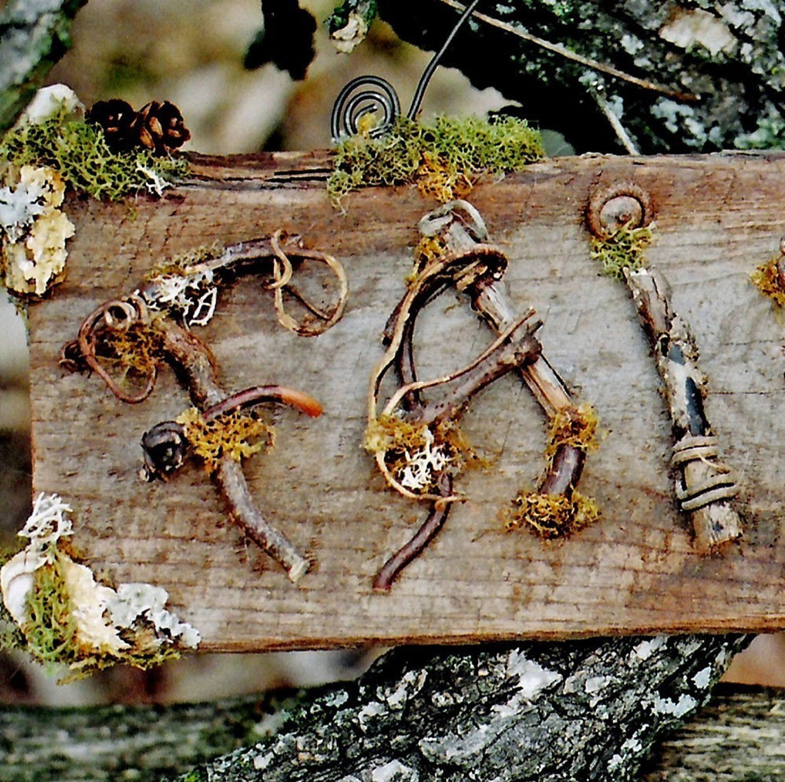 Custom Twig Sign: Rustic Woodland Decor, Child's Name, Garden Sign - Etsy