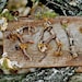Custom Twig Sign: Rustic Woodland Decor, Child's Name, Garden Sign - Etsy