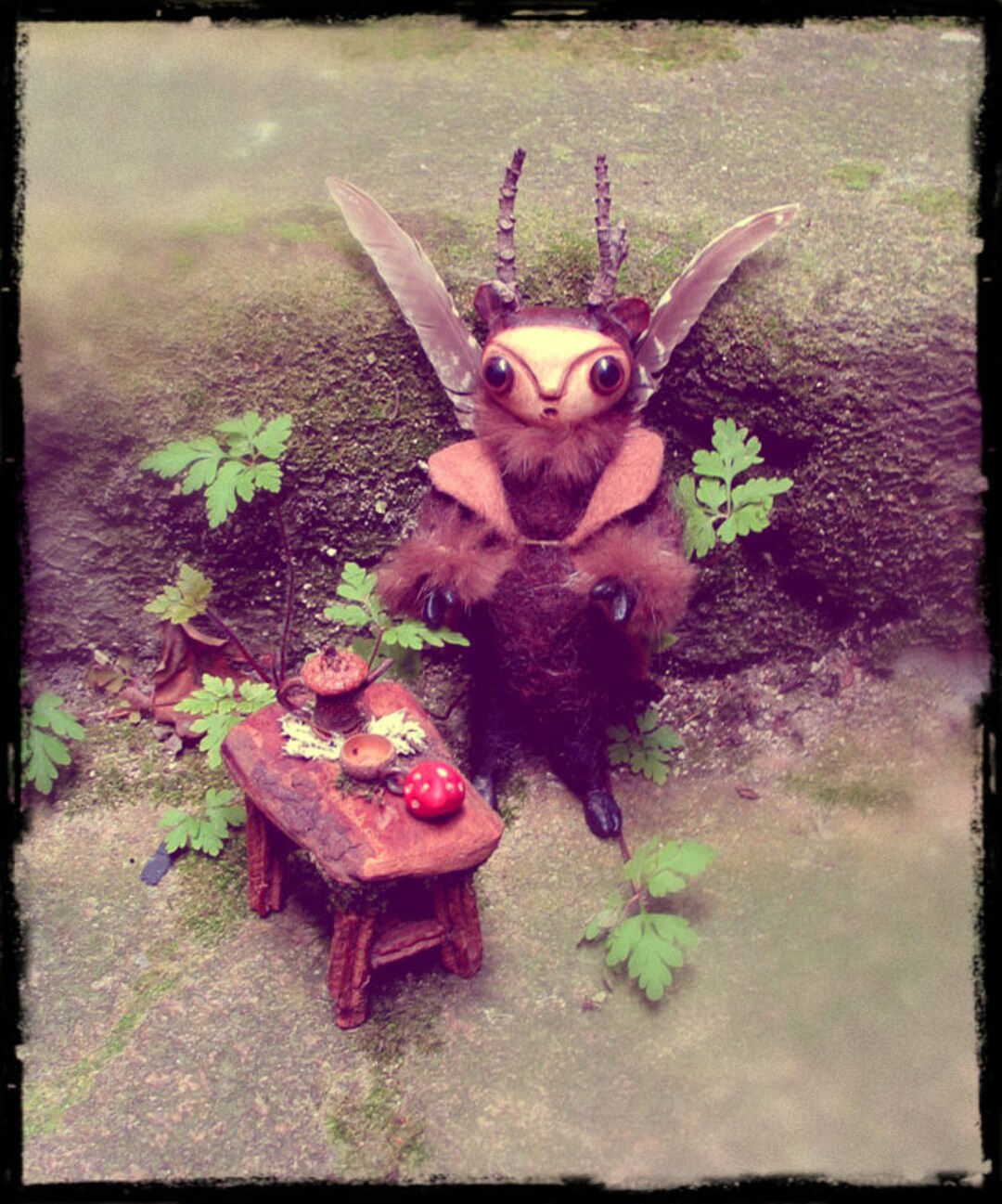 Pixie Shapeshifter Fae Doll Custom Order - Etsy