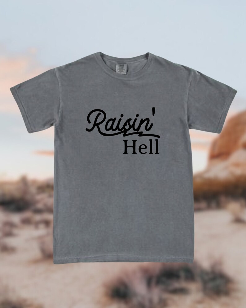 Raisin' Hell Shirt, Retro Tee, Comfort Colors, Trendy Tee, Oversized ...
