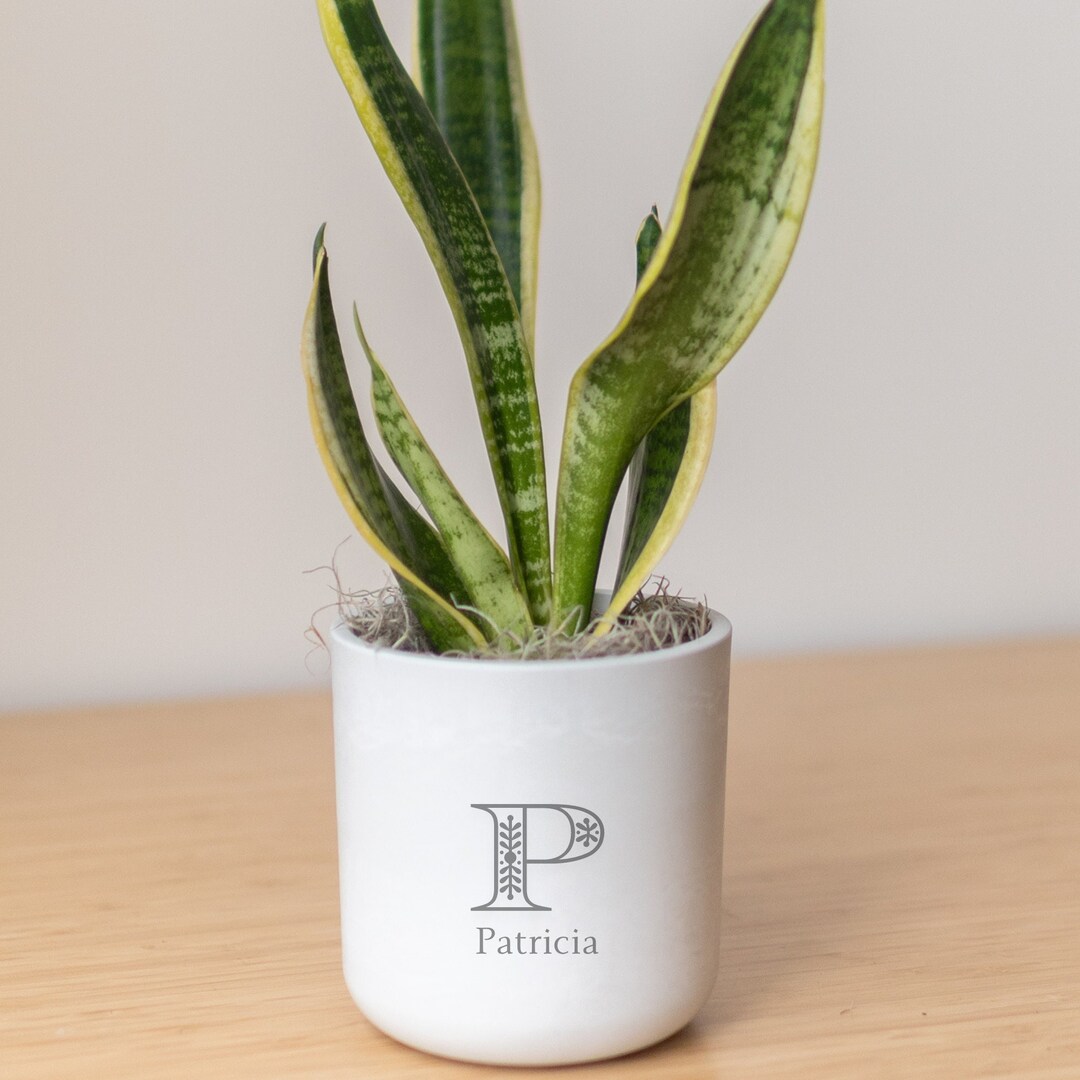 Initial Name Monogram Personalized Engraved Potted Live Plant Gift ...
