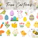 Bunny Easter Alphabet Clipart: Floral Carrots PNG (digital Download) - Etsy
