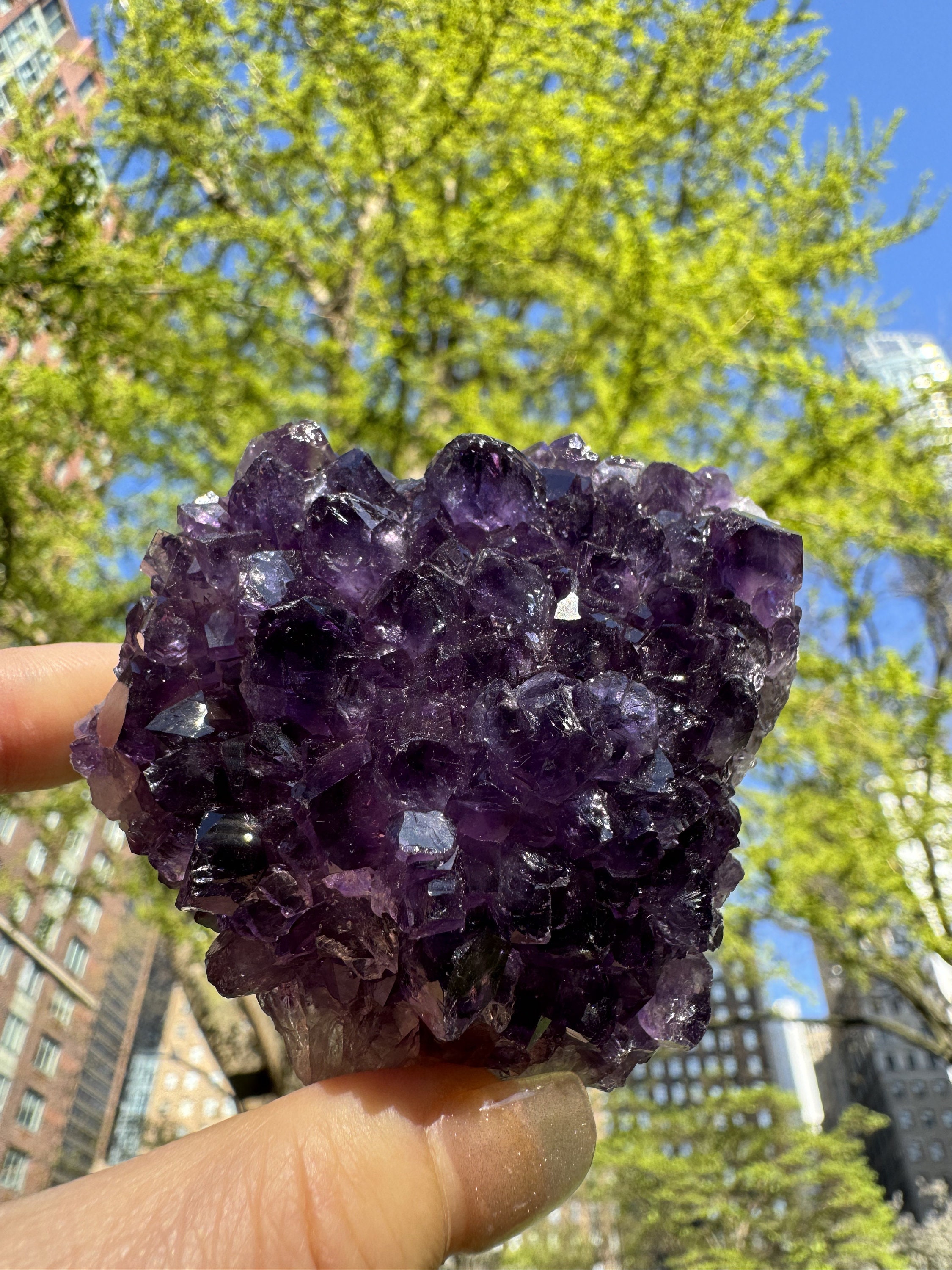 INTENSE Purple Amethyst Cluster W/cyan Rock Bed/purple Flame Karma ...