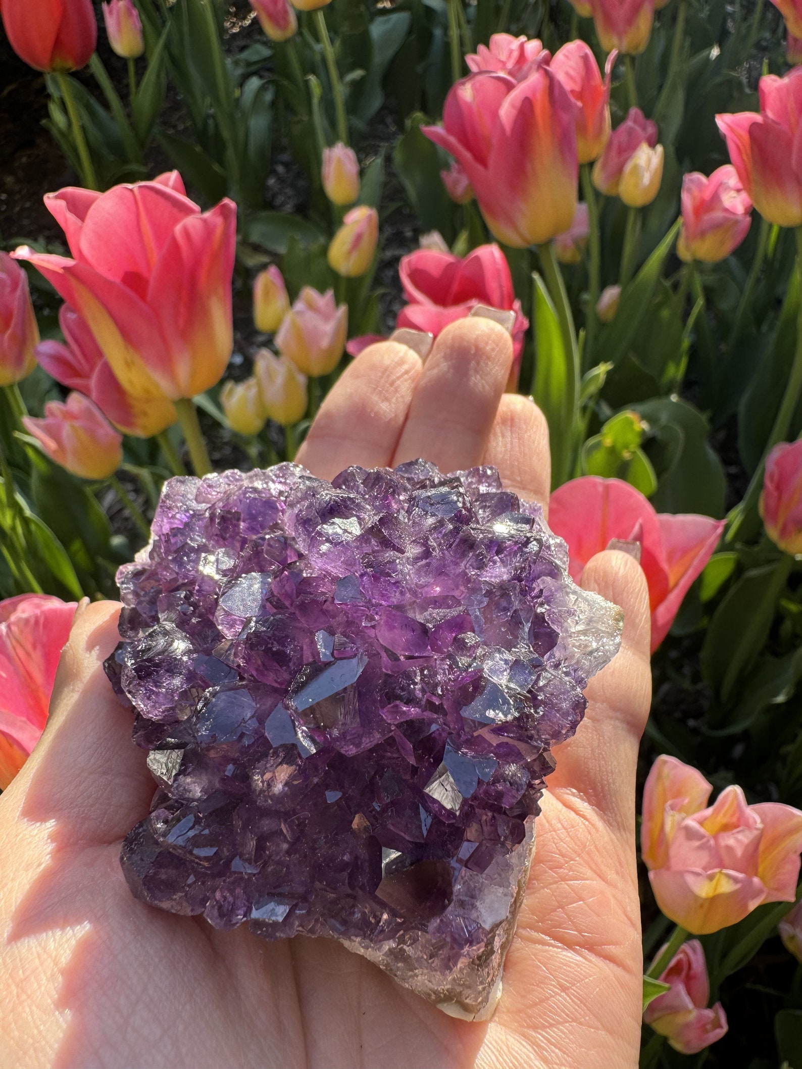 INTENSE Purple Amethyst Cluster W/cyan Rock Bed/purple Flame Karma ...