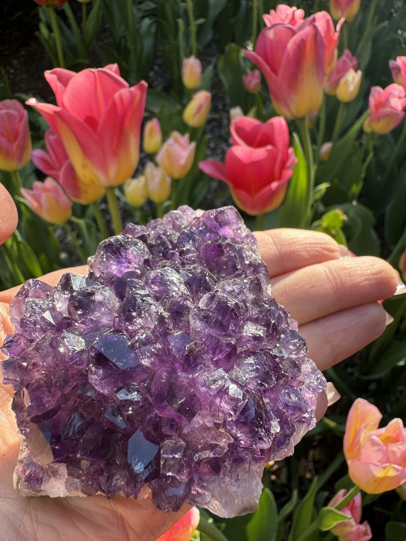 INTENSE Purple Amethyst Cluster W/cyan Rock Bed/purple Flame Karma ...